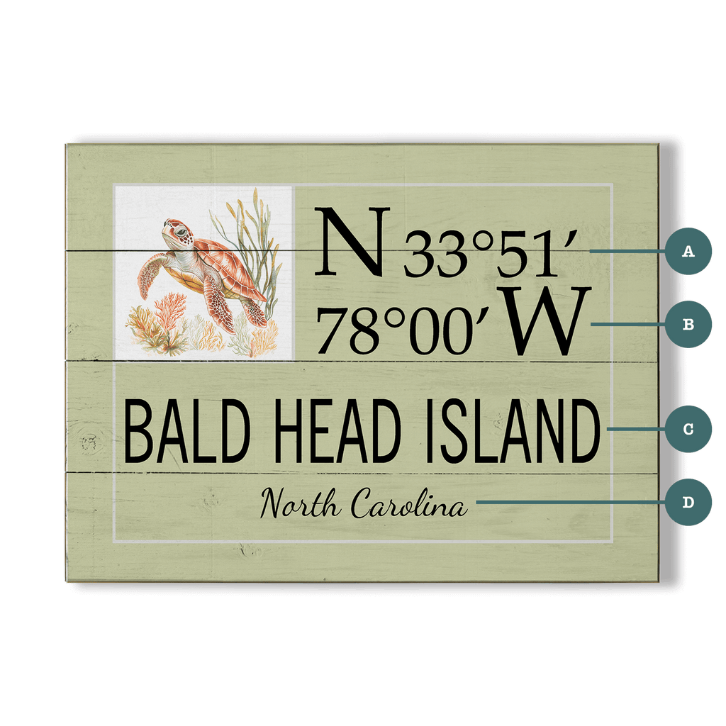 Coastal Coordinate Grid: Sage Turtle - Wood & Metal Wall Art – Old Wood ...