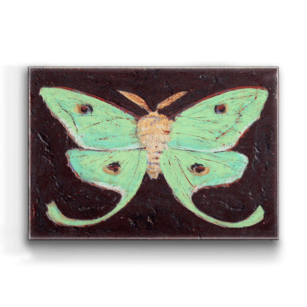 Luna Moth - Metal Box Art – Old Wood Signs Wholesale