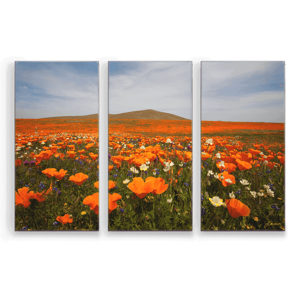 Poppy Field: 3-Piece Metal Box Art – Old Wood Signs Wholesale
