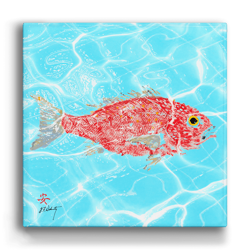 Solo Red Snapper - Metal Box Art – Old Wood Signs Wholesale