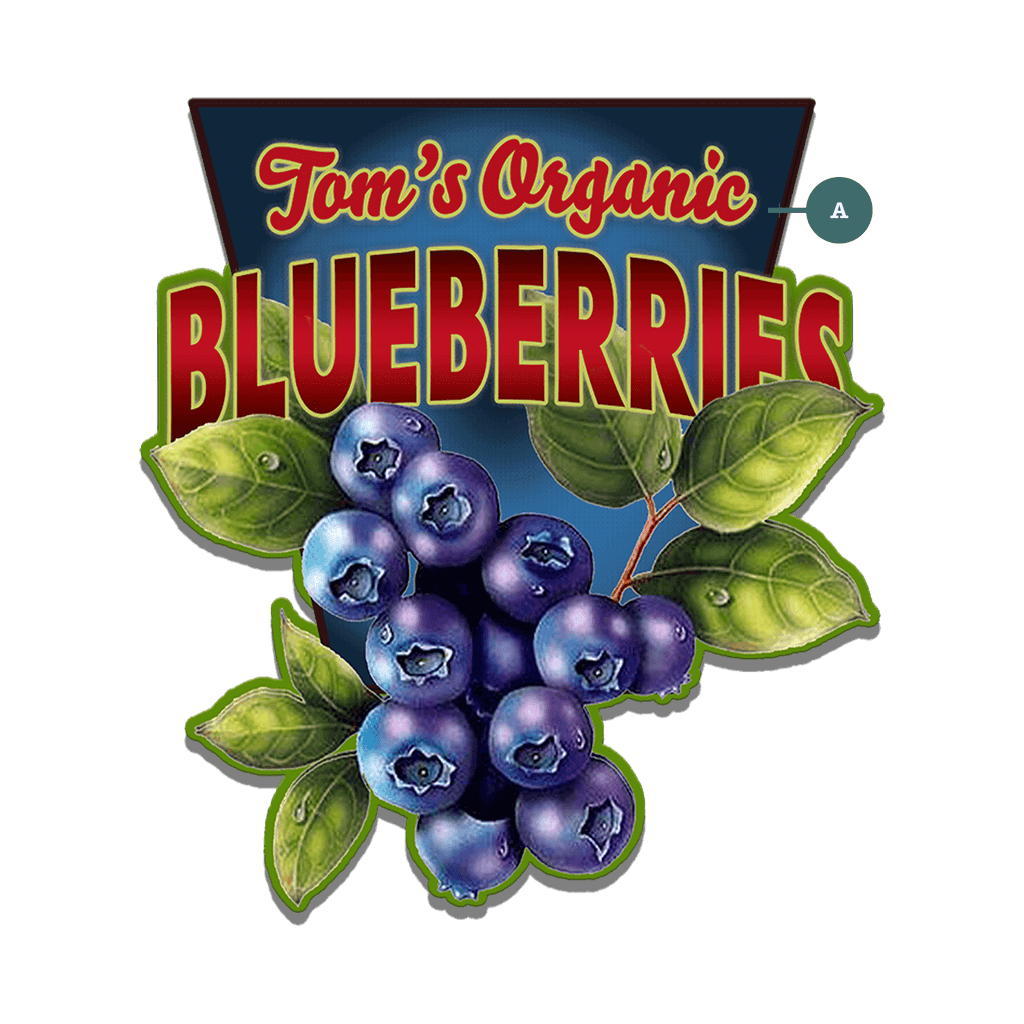 Garden Cutouts: Blueberries - Decorative Plaque – Old Wood Signs Wholesale