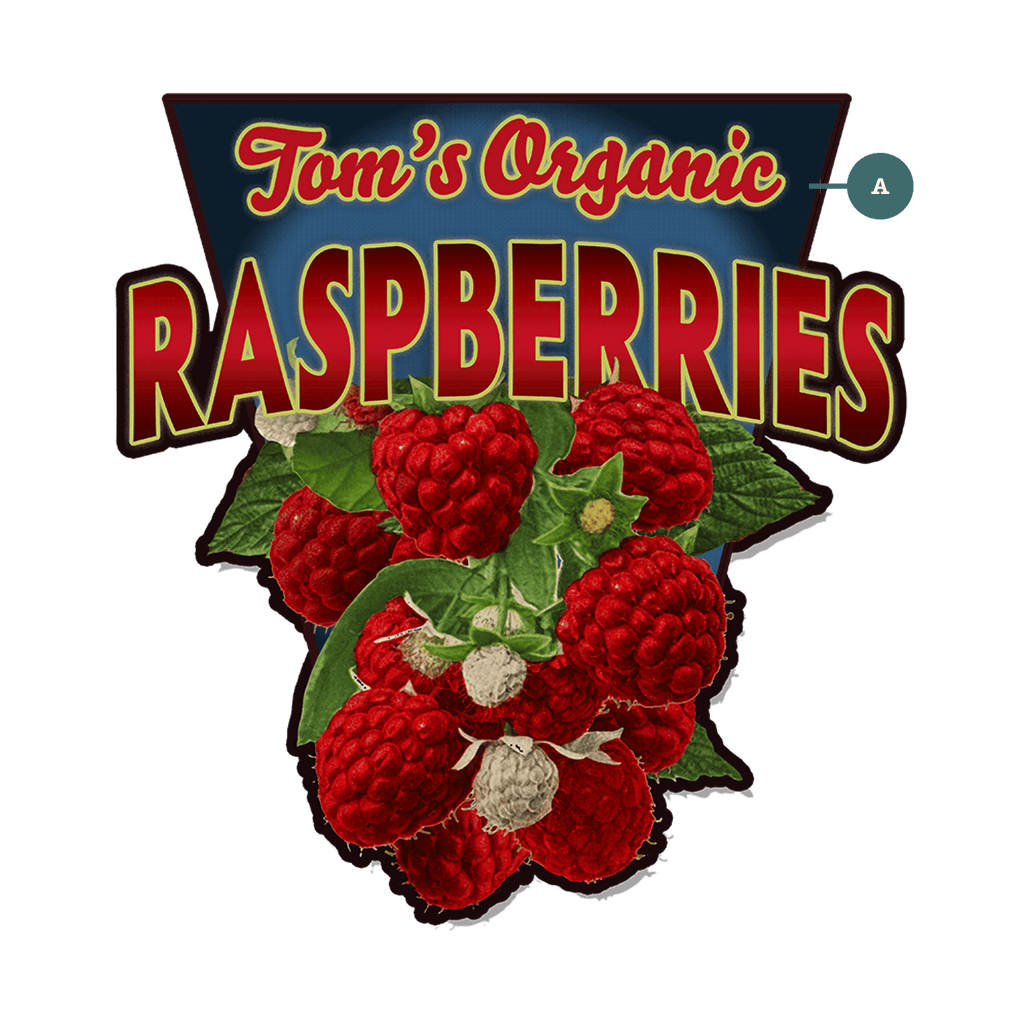 Garden Cutouts: Raspberries - Decorative Plaque – Old Wood Signs Wholesale