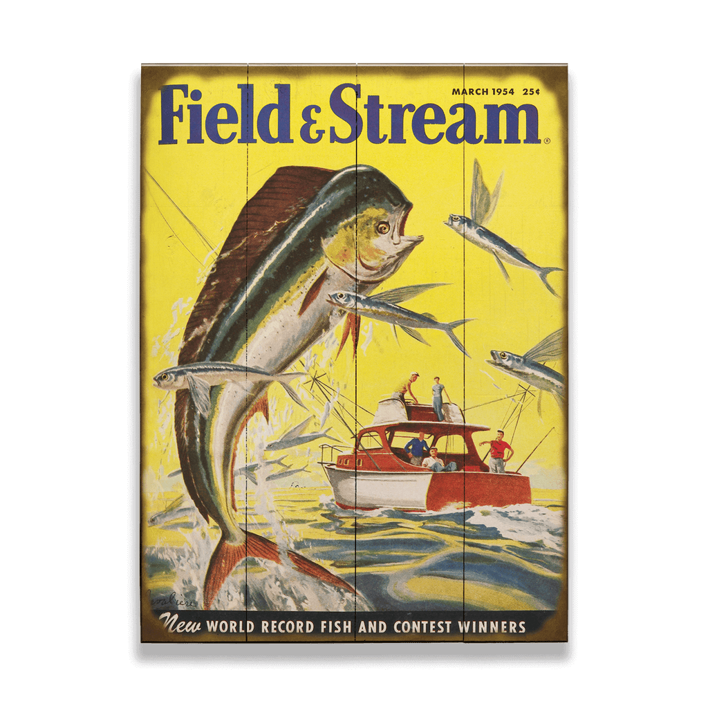 Field & Stream Cover March 1954 - Wood & Metal Wall Art – Old Wood ...