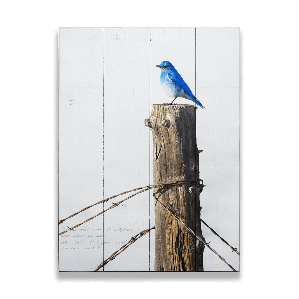 Mountain Bluebird - Wood & Metal Wall Art – Old Wood Signs Wholesale